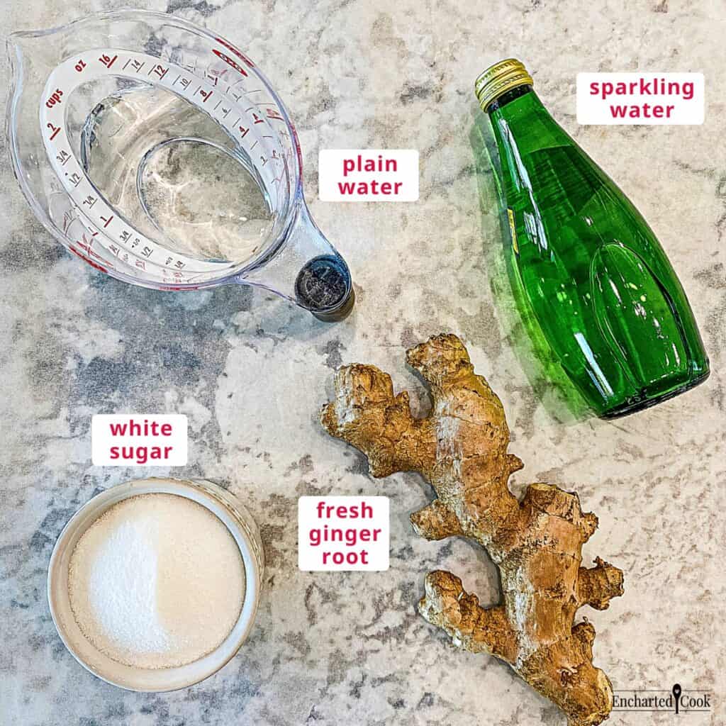 Homemade Ginger Ale – Encharted Cook