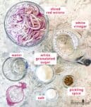 Quick Pickled Red Onions – Encharted Cook