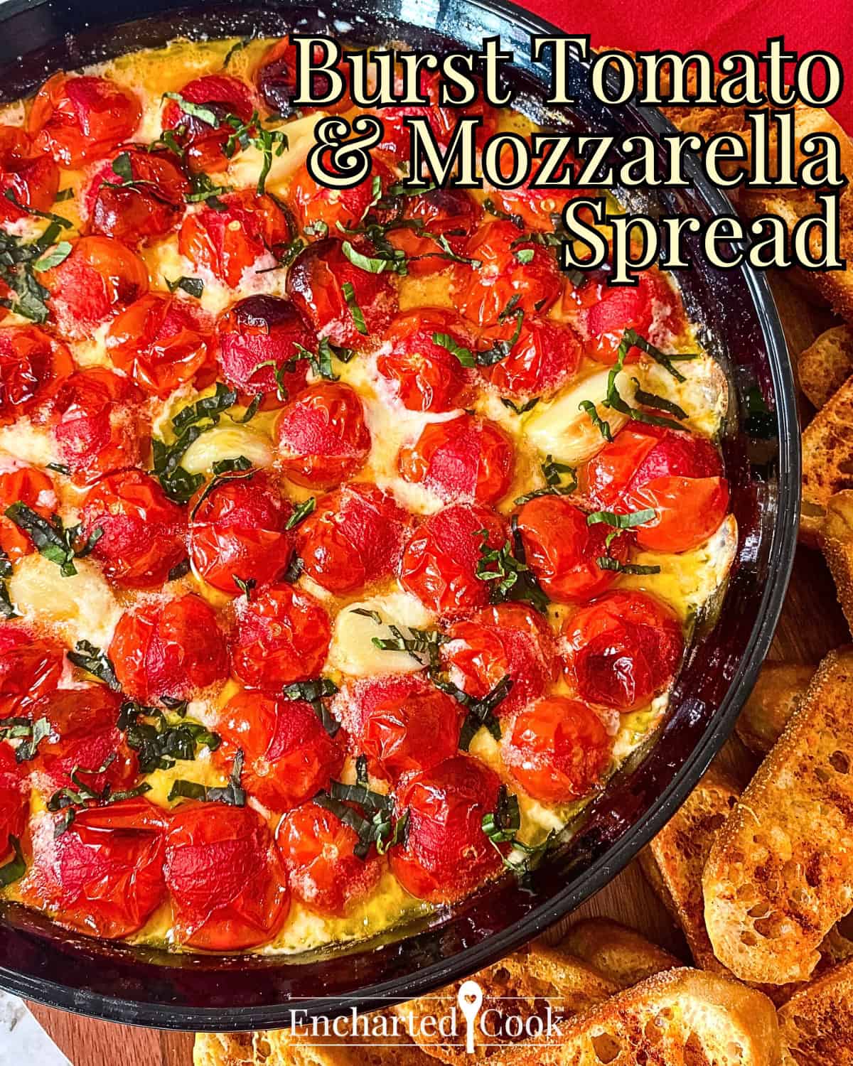 Burst Tomato and Mozzarella Spread – Encharted Cook