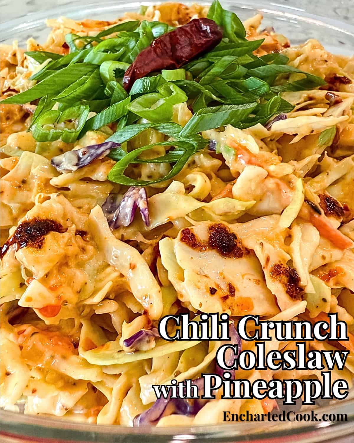 Chili Crunch Spicy Coleslaw with Pineapple – Encharted Cook