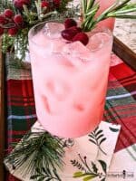 Cranberry Pink Drink – Encharted Cook