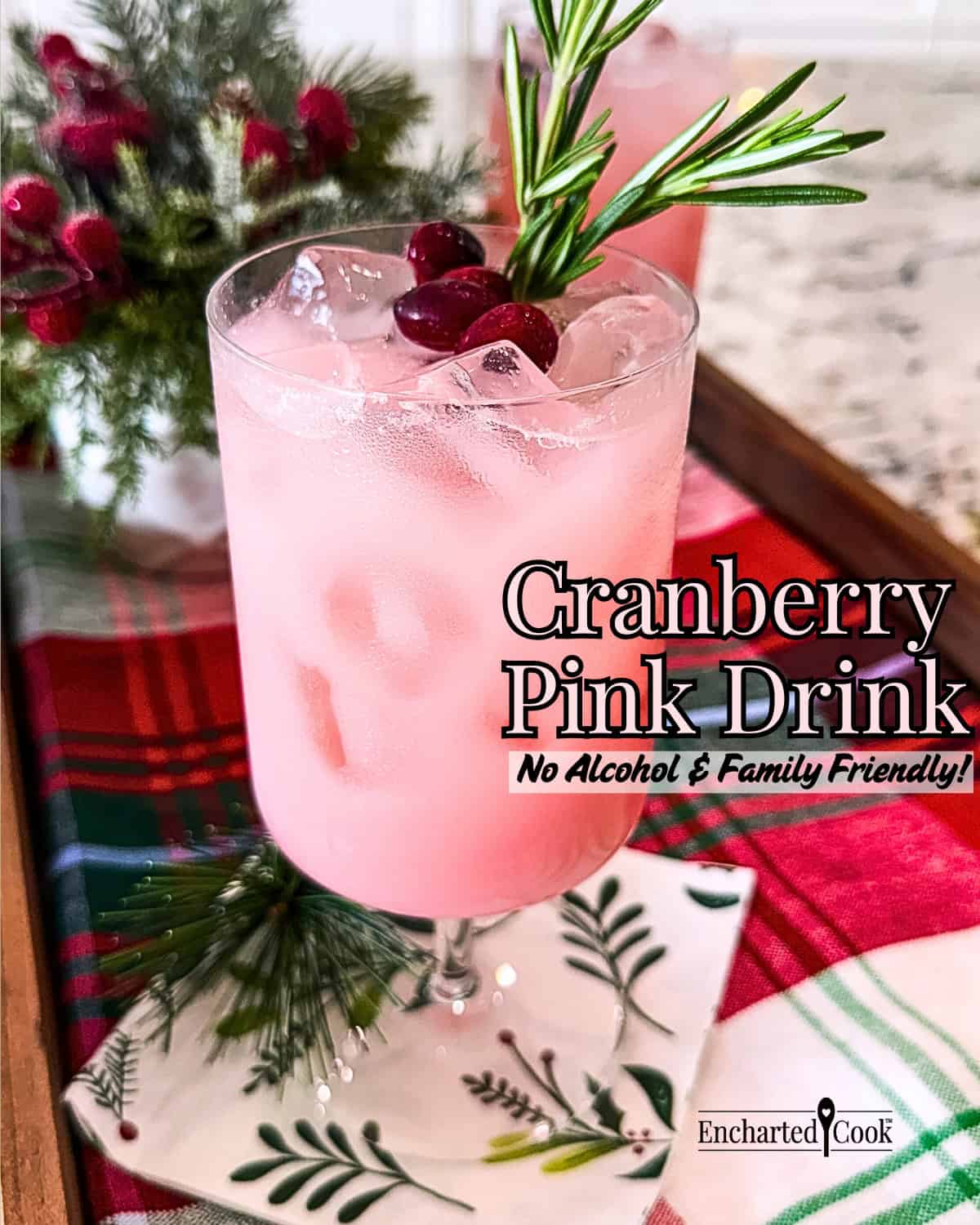 Cranberry Pink Drink – Encharted Cook