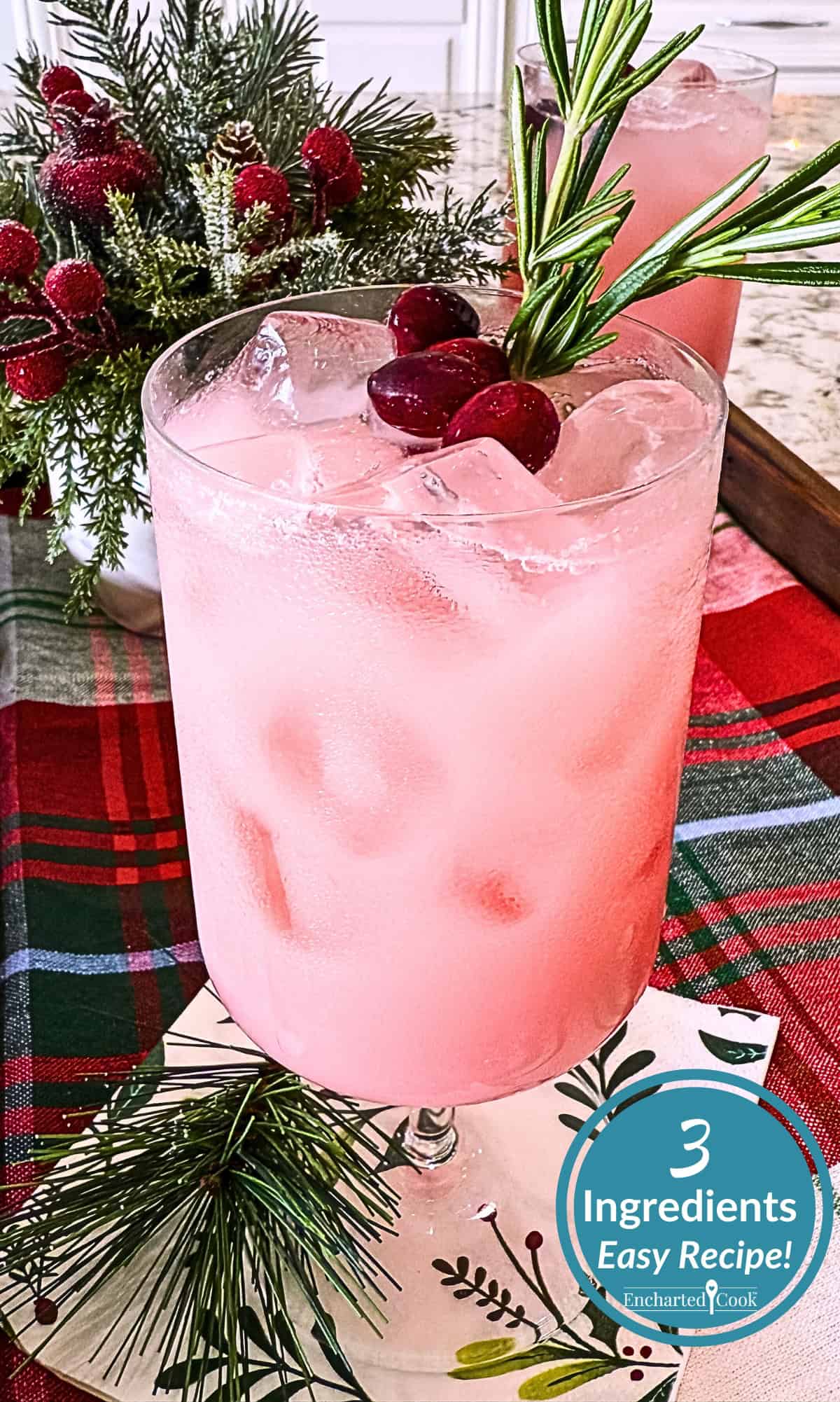 Cranberry Pink Drink – Encharted Cook